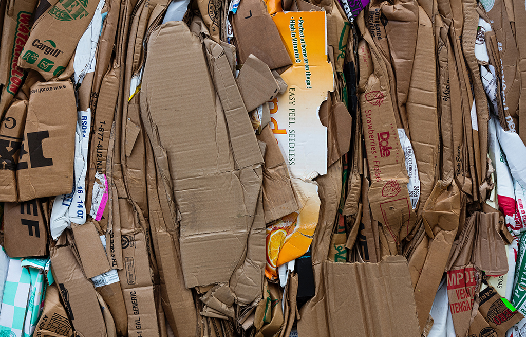 Setmana Europea de la Prevenció de Residus | Buscaciència